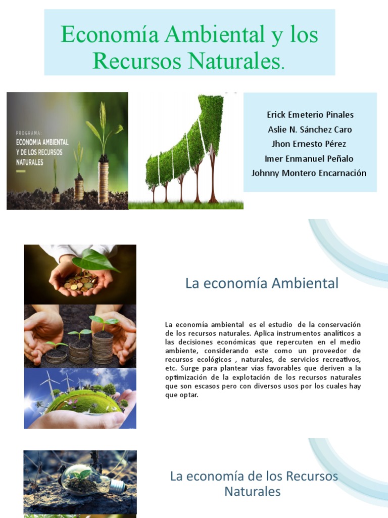 Economia Ambiental y de Los Recursos Naturales Grupo 1 | PDF ...