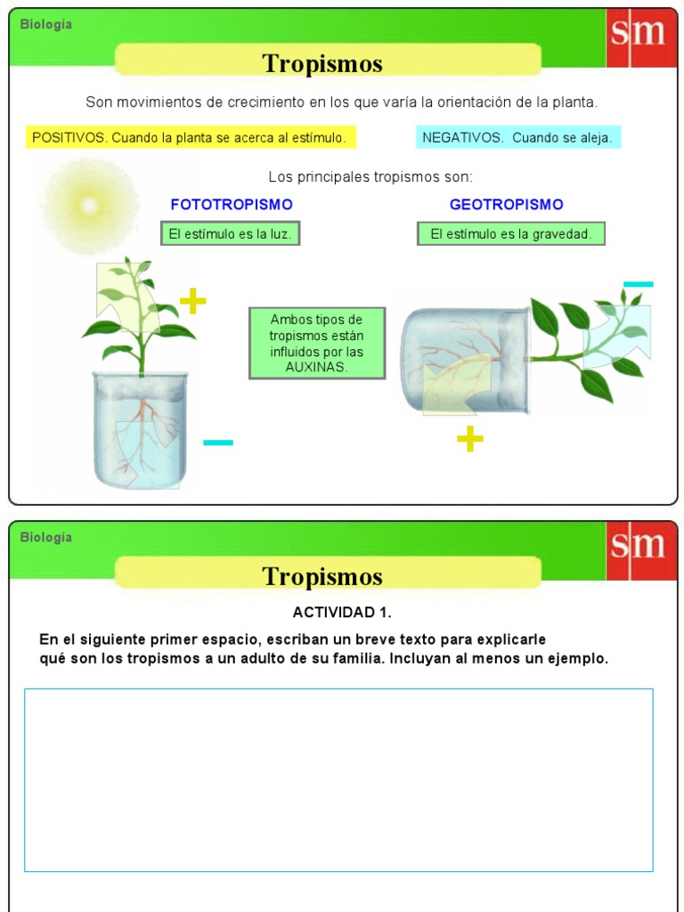 S3 BIO Tropismos | PDF