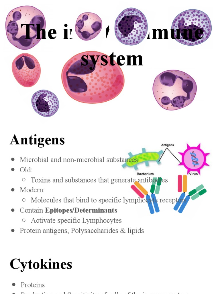 The Innate Immune System - PAMPS, DAMPS, Antigen, Cytokines and Chemokines | PDF