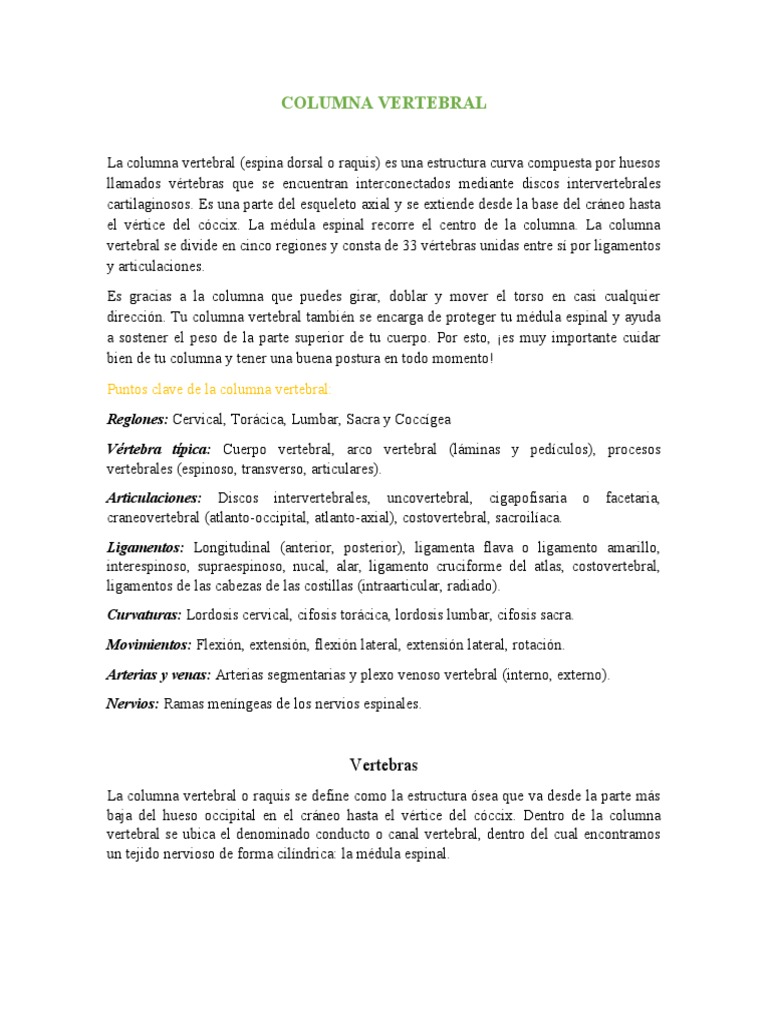 Anatomía de la Columna Vertebral | PDF | La columna vertebral | Vértebra
