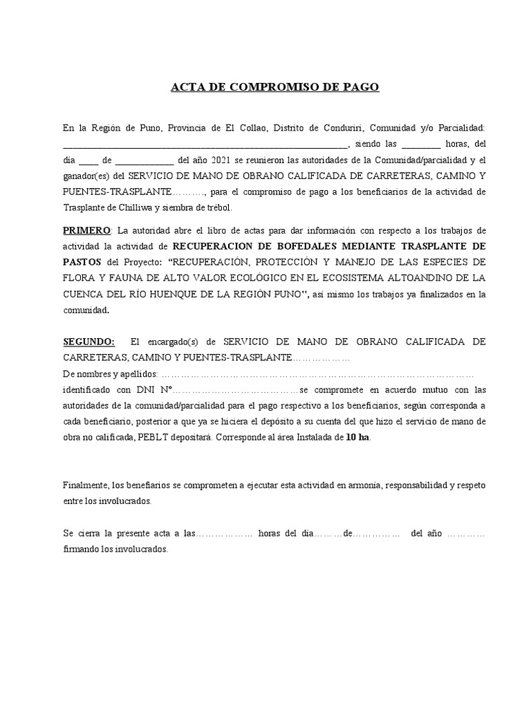 Acta de Compromiso de Pago | PDF