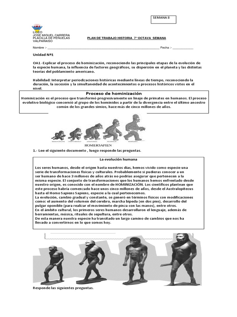 Plan de Historia 7° | PDF | Evolución humana | Homo Sapiens
