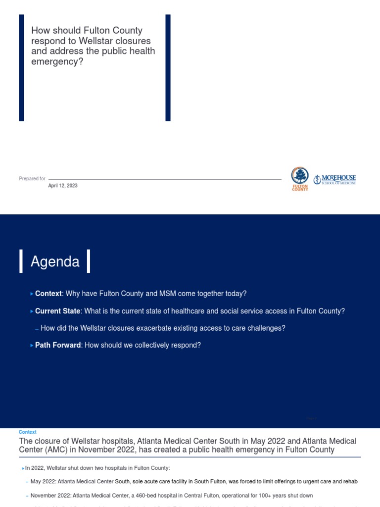 Project Care Executive Stakeholder Presentation Final | PDF | Health ...