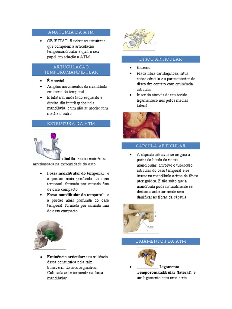 Anatomia Da ATM Resumo | PDF | Anatomia | Sistema Locomotor
