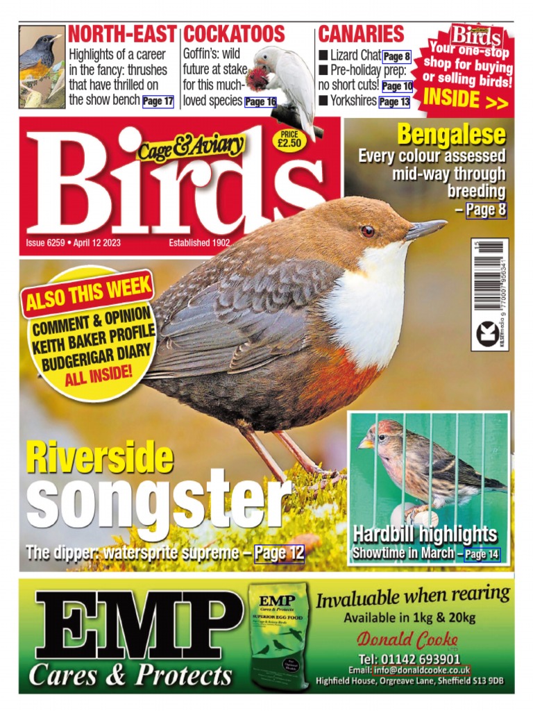 Cage Aviary Birds Issue 6259 April 12 2023 Pdf Birds Feather 