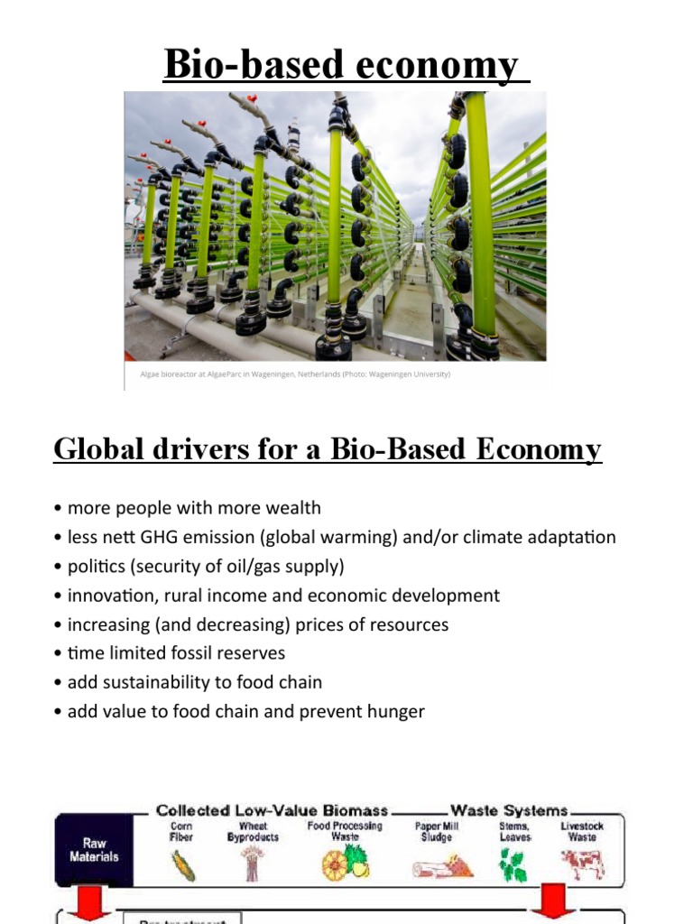 19-Biobased Economy | PDF | Biopolymer | Solvent