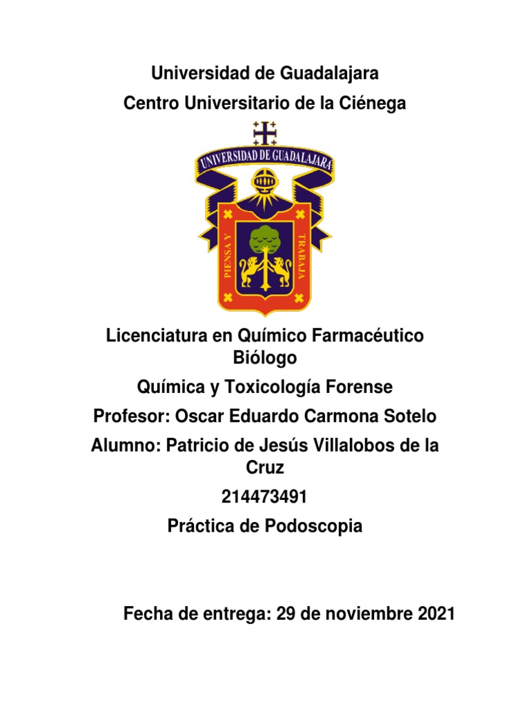 Práctica de Podos | PDF | Pie