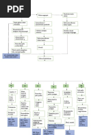 Woc Diabetes Mellitus | PDF