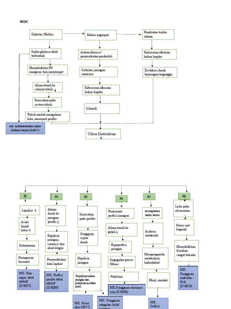 Woc Ulkus Diabetik | PDF