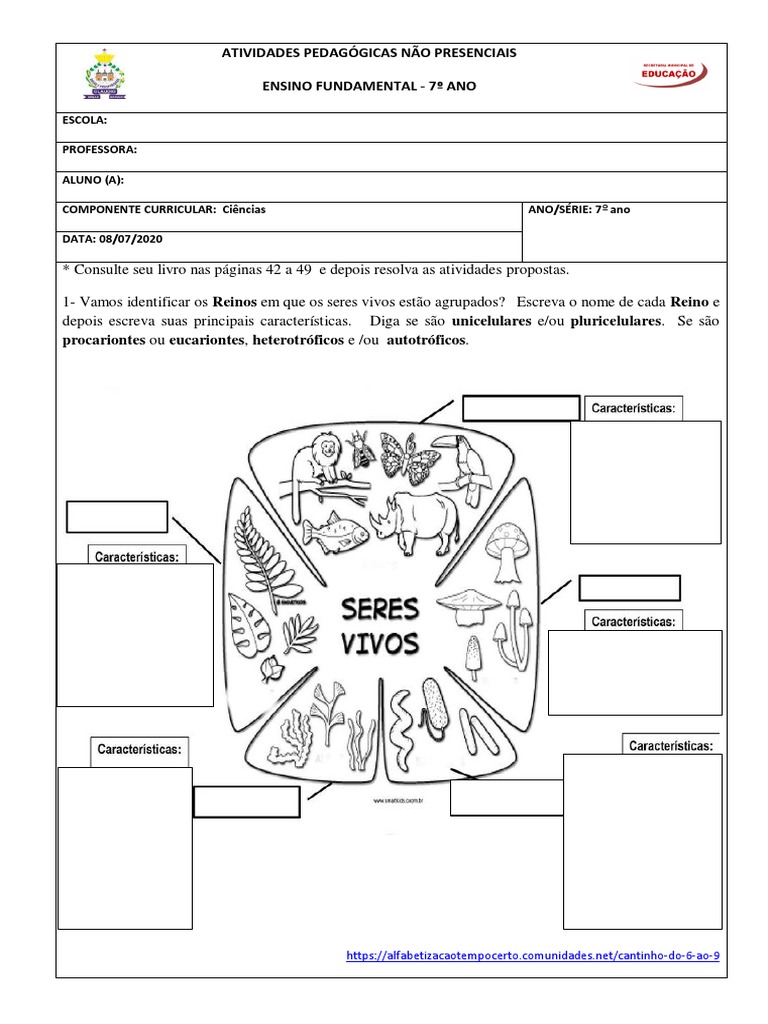 Reinos | PDF | Eucariotas | Organismos