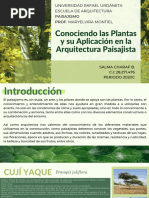 Bingo de Plantas Pictos | PDF