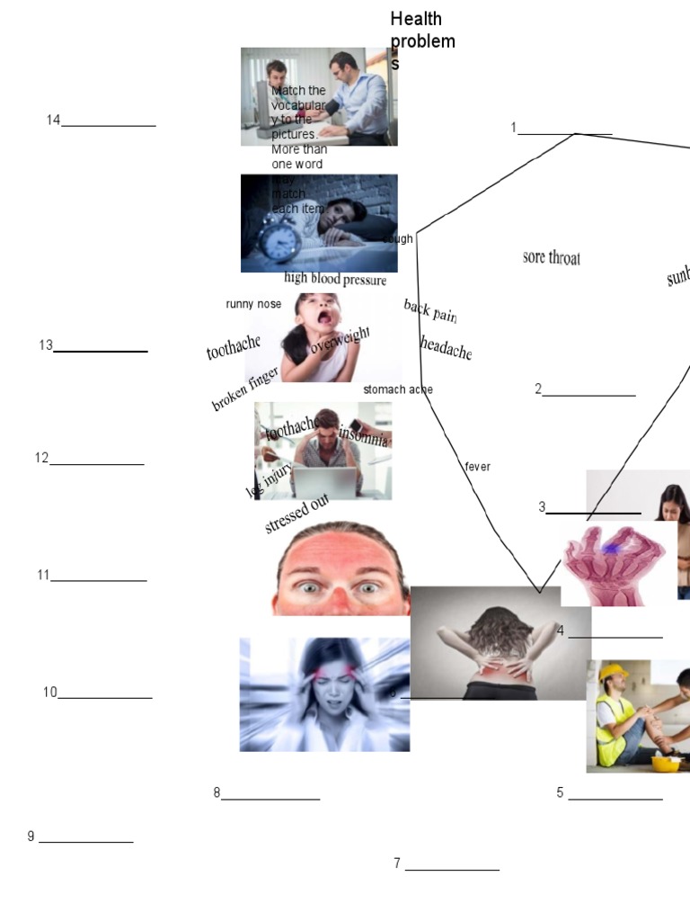 Health-illness-Worksheet 1 | PDF | Physiology | Nervous System