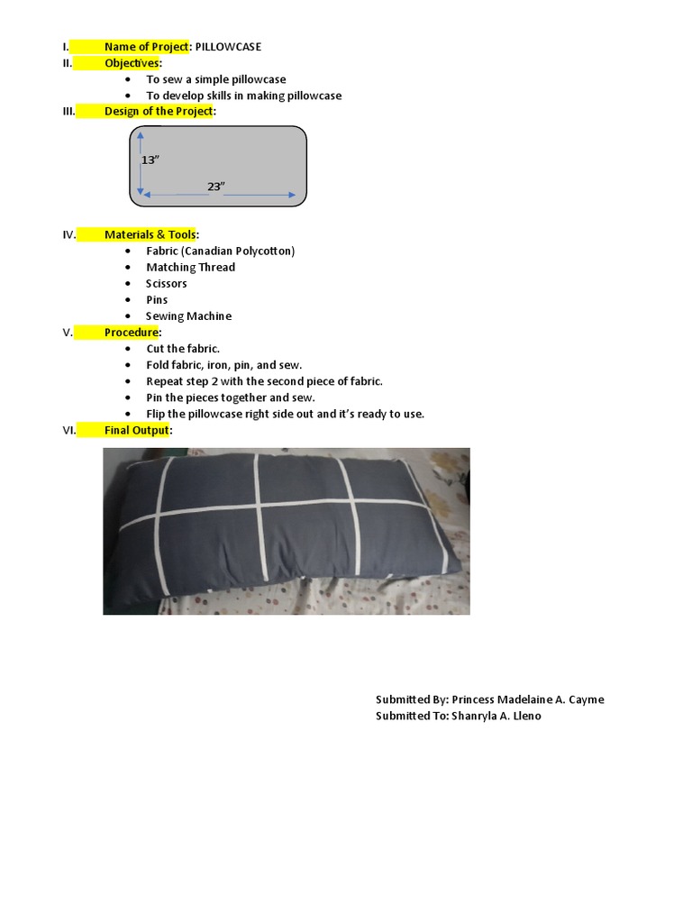 TLE - Madelaine - Project Plan | PDF