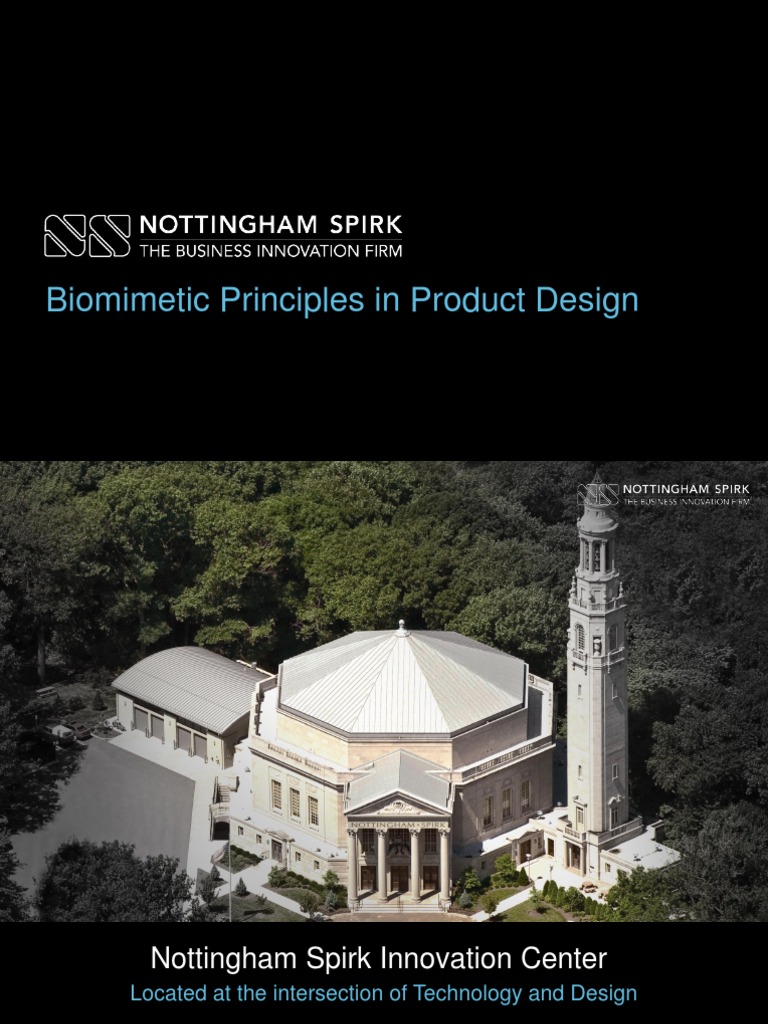 Biomimetic Principles in Product Design (PDFDrive) | PDF | Art