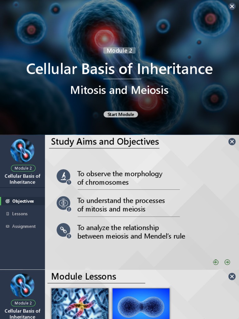 Module 2 - Cellular Basis of Inheritance | Download Free PDF | Meiosis ...