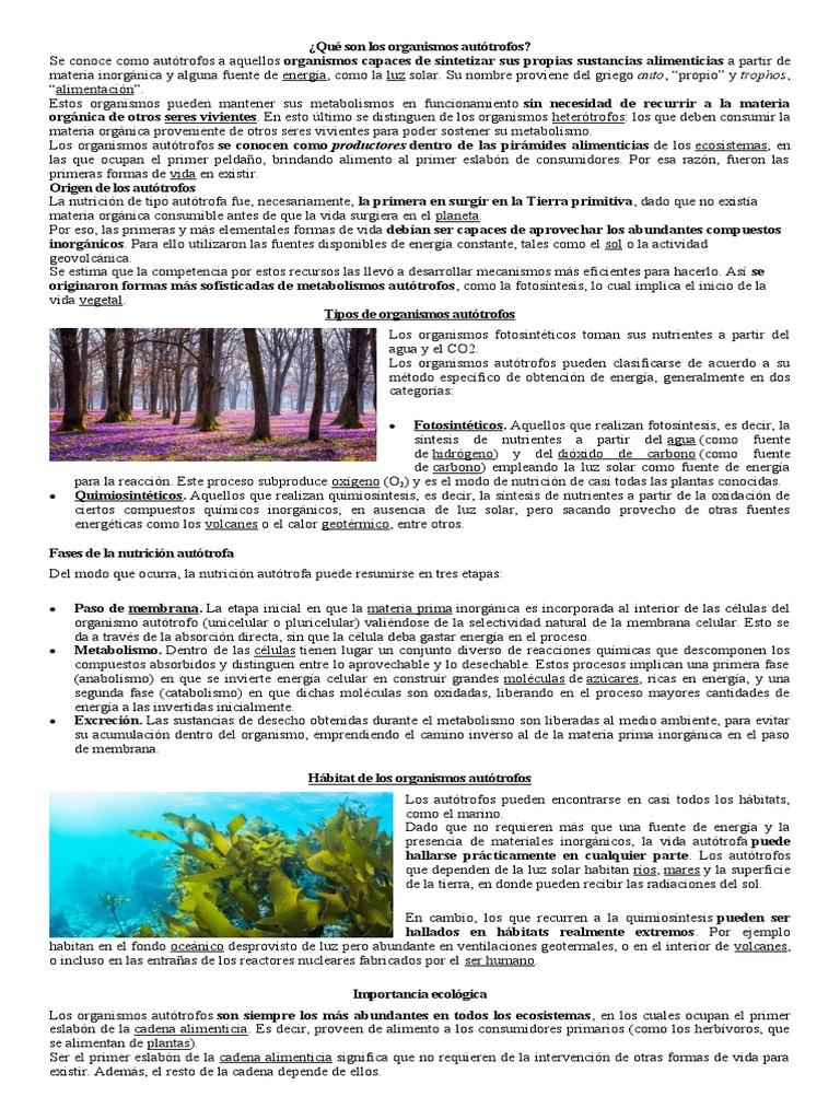 Organismos Autótrofos: Tipos y Funciones | PDF | Organismos | Metabolismo