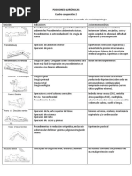 Posición de Roser o Proetz | PDF | Inflamación | Biología Celular)