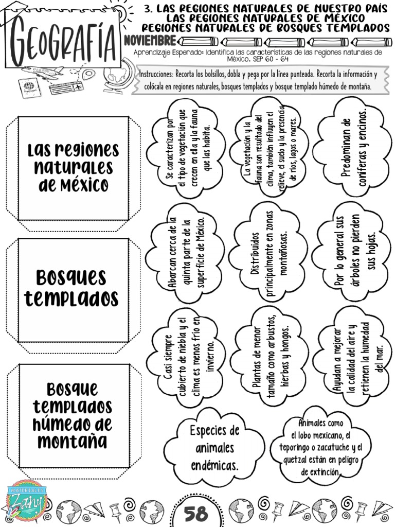 Bosques Templados: Las Regiones Naturales de México | PDF | Selva ...