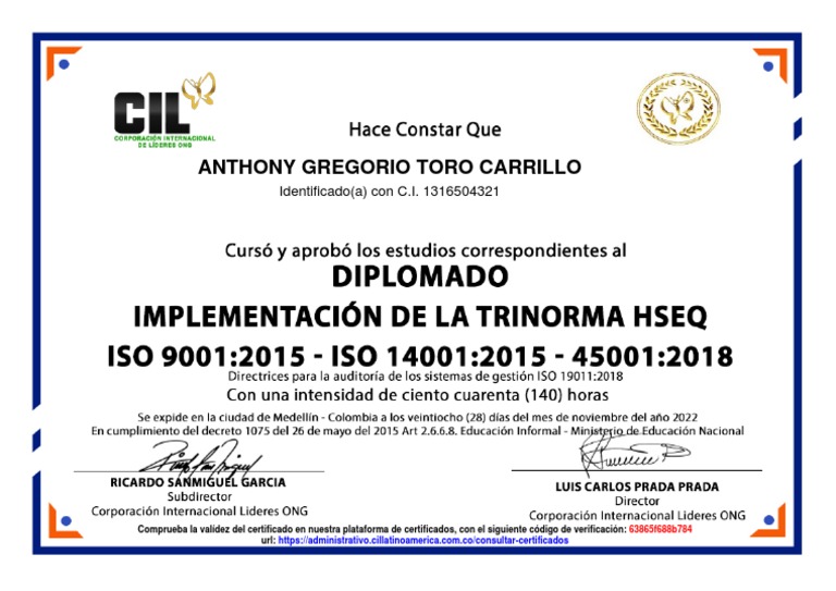 Anthony Gregorio Toro Carrillo: Identificado (A) Con C.I. 1316504321 | PDF