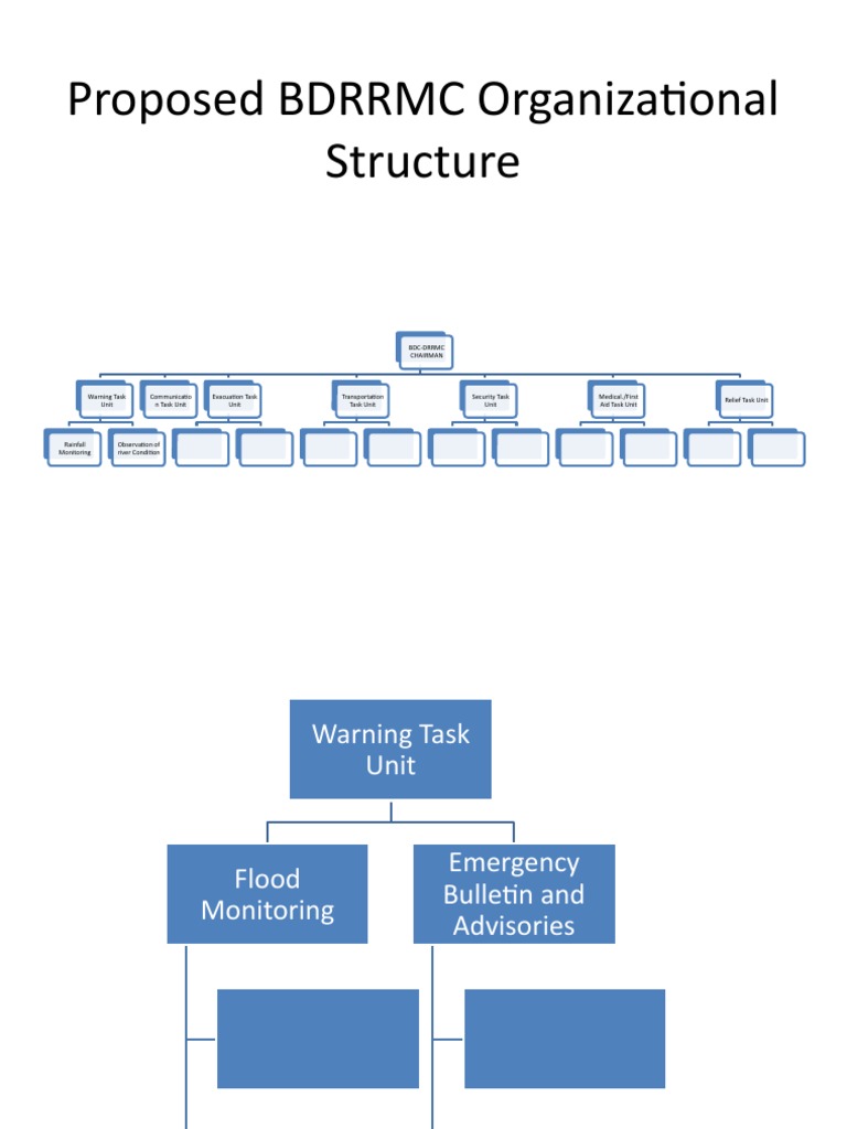 Proposed BDRRMC Organizational Structure | PDF