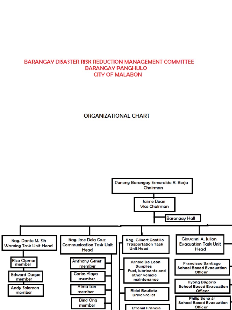 BDRRMC Functional Structure Overview | PDF