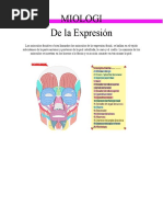 Músculos de La Mímica | PDF | Nariz humana | Anatomía humana