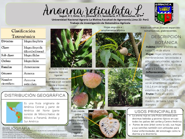 Annona reticulata | PDF | Fruta | Zona tropical