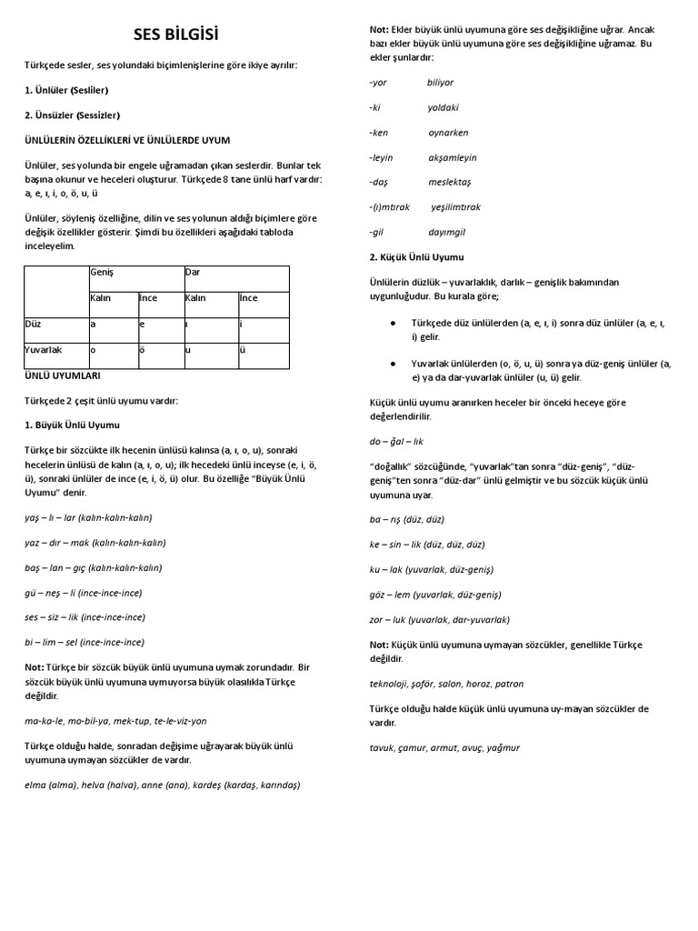 Ses Bi̇lgi̇si̇ | PDF
