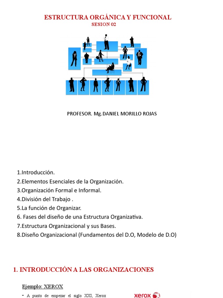 Sesion 02 ESTRUCTURA ORGÁNICA Y FUNCIONAL | PDF | Diseño | Division de trabajo