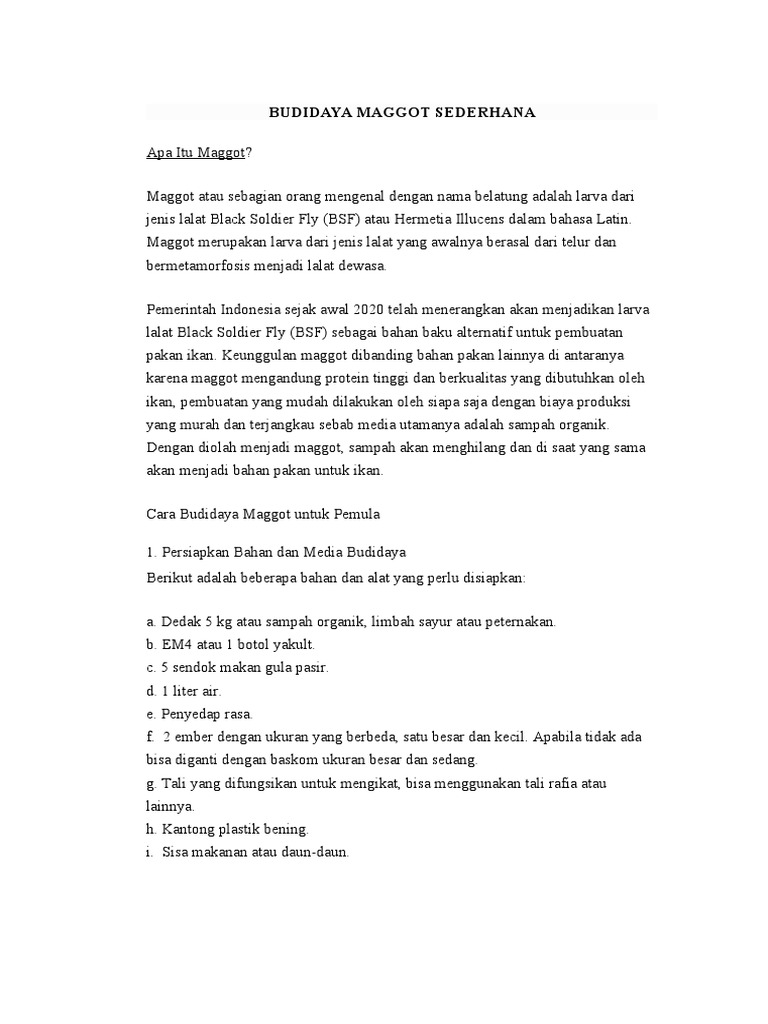 Begini Cara Budidaya Maggot Untuk Pemula | PDF