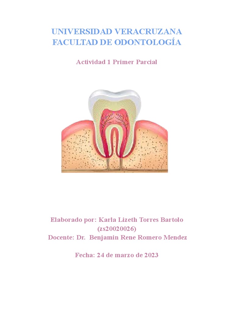 Actividad 1 Biologia Del Complejo Dentino Pulpar | PDF | Inflamación ...