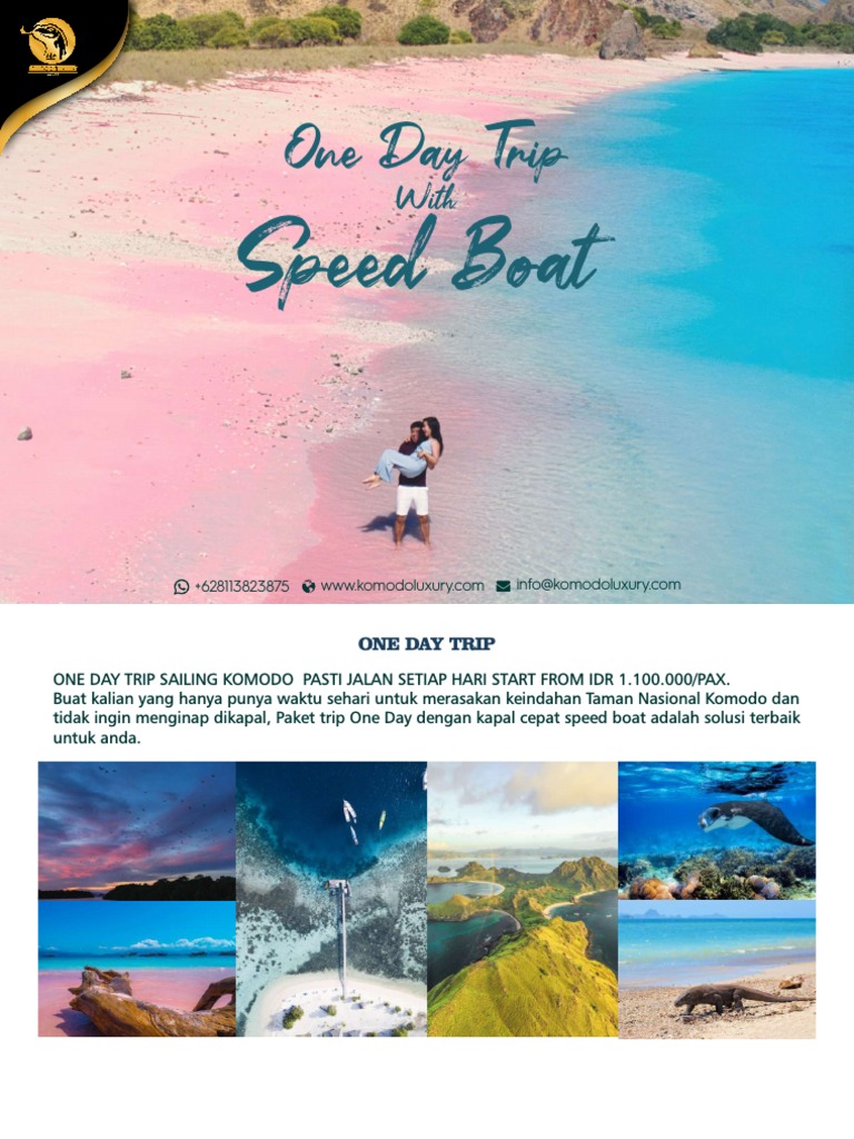 One Day Trip With Speed Boat | PDF