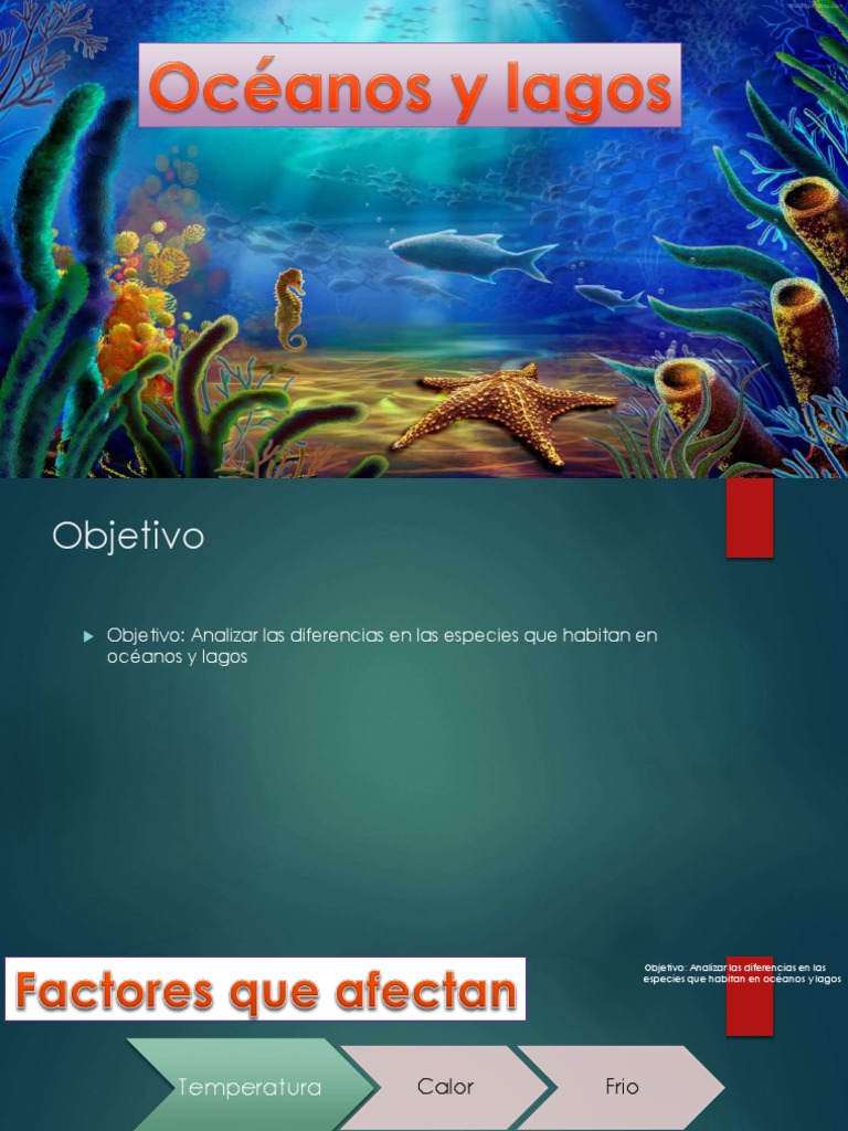 Océanos y Lagos | PDF | Océanos | Agua