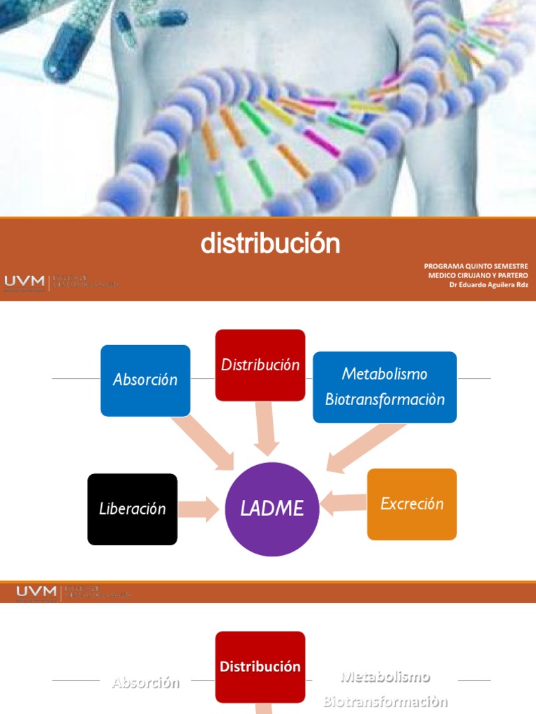 2c. - Farmacocinetica 2 | Descargar gratis PDF | Medicamentos con ...