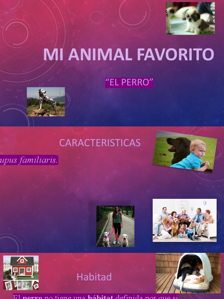 Trabajo Rafaela Mi Animal Favorito | PDF