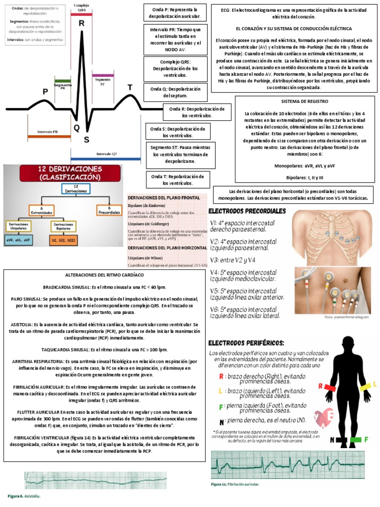 ECG | PDF | Electrocardiografia | Tórax (anatomía humana)