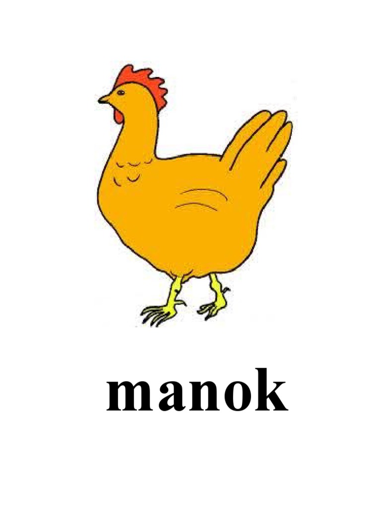 Manok | PDF
