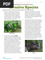 Bat Morphology and Foraging Ecology | PDF | Bat | Foraging