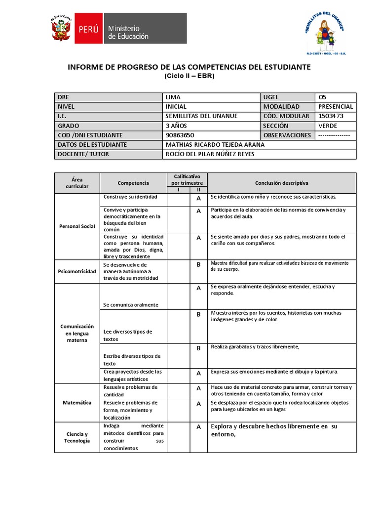 Informe de Progreso de Las Competencias Del Estudiante | PDF ...