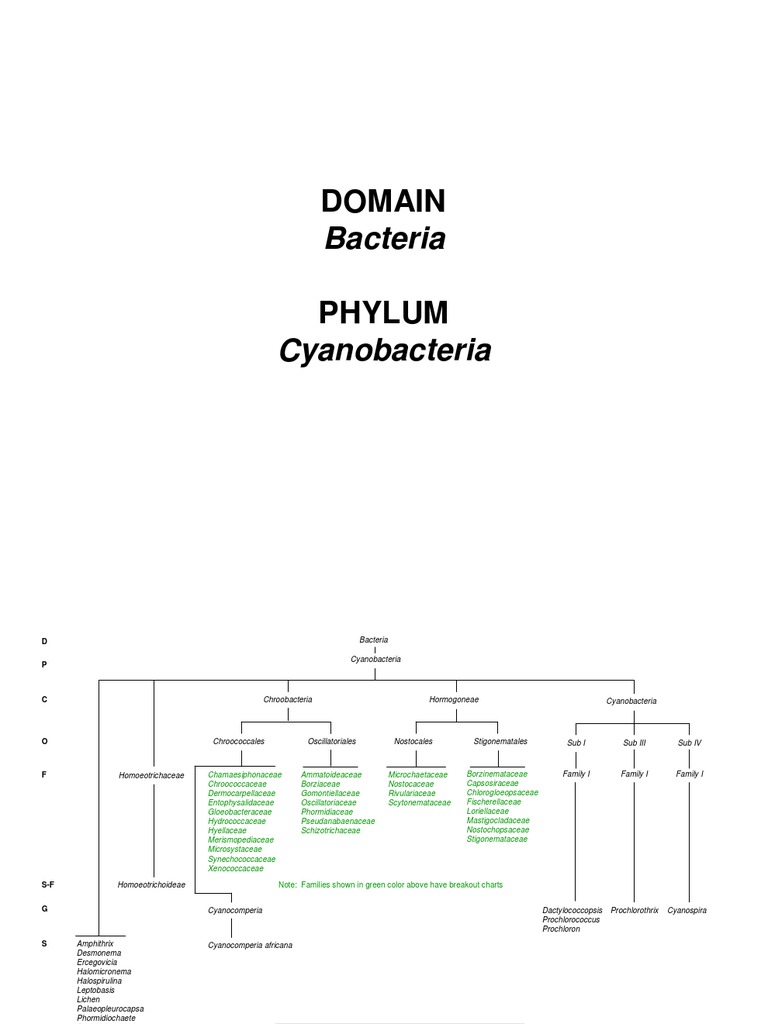 Taxonomic Classification of Cyanobacteria: An Illustrated Key of Orders ...