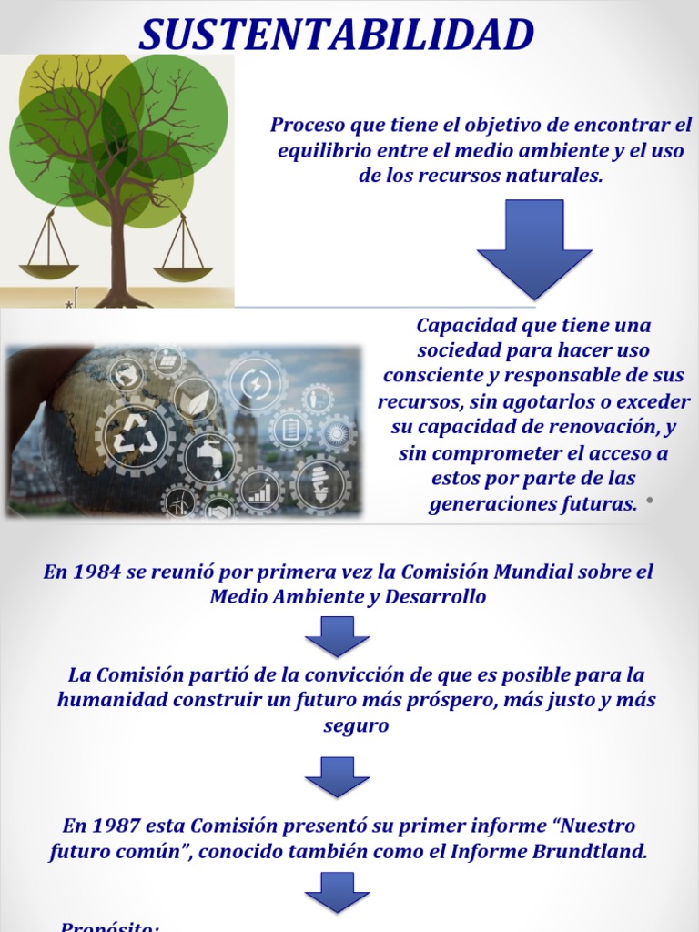 Sustentabilidad | PDF | Sustentabilidad | Desarrollo sostenible