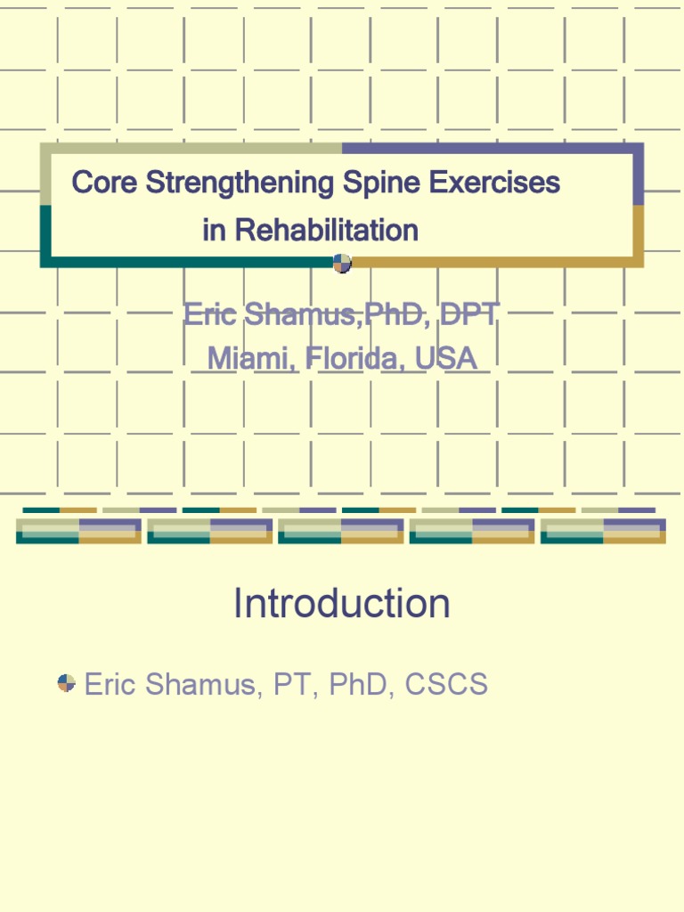 Spine Stabilization Powerpoint | PDF | Shoulder | Abdomen