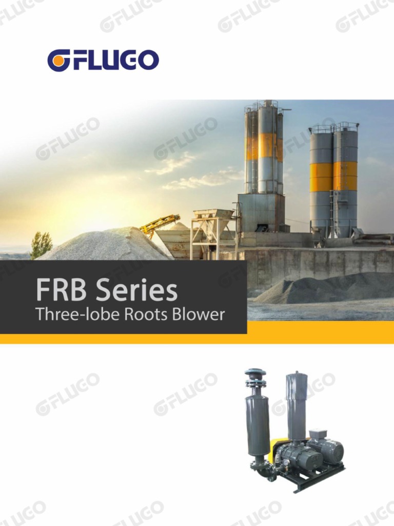 Root Blower | PDF