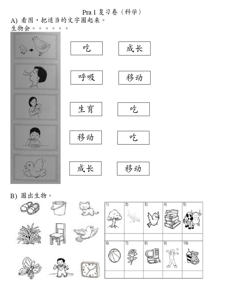 Pra 1 复习卷(科学) | PDF