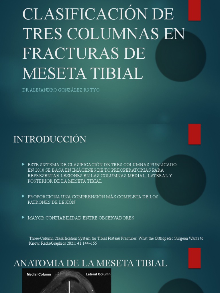 Sistema de Clasificación de Tres Columnas | PDF | Medicina CLINICA ...