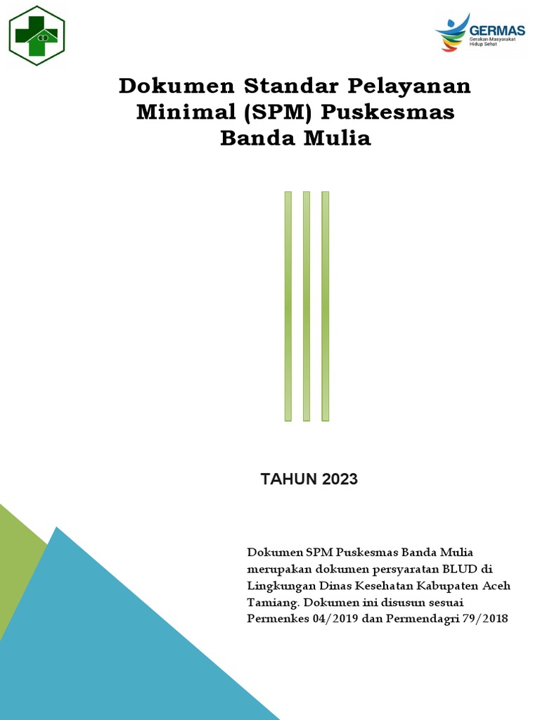 Dokumen Standar Pelayanan Minimal (SPM) Puskesmas Banda Mulia | PDF