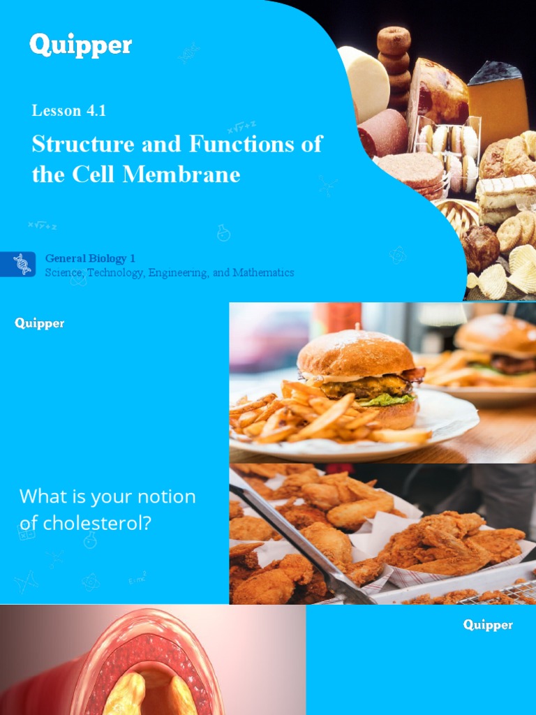 Unit 4 - Cell Transport Mechanism | PDF | Cell Membrane | Vesicle ...