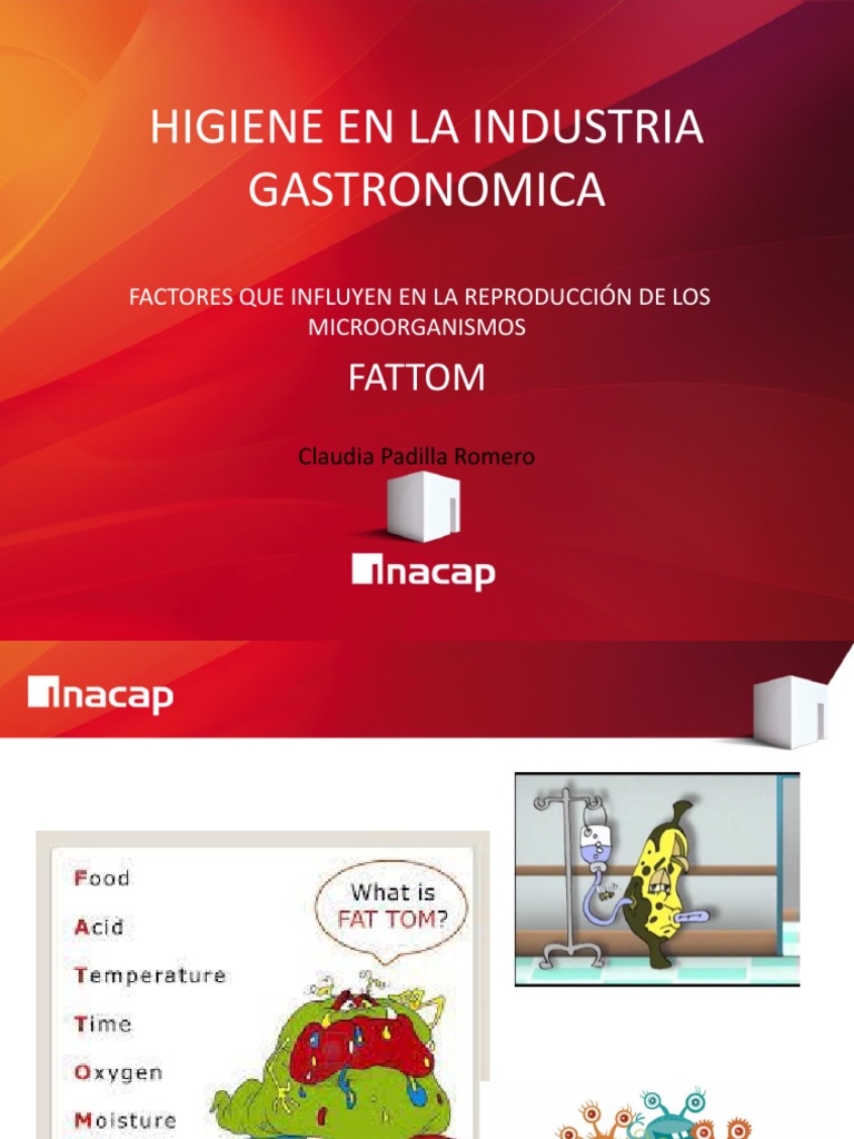 FATTOM | PDF | Alimentos | Agua