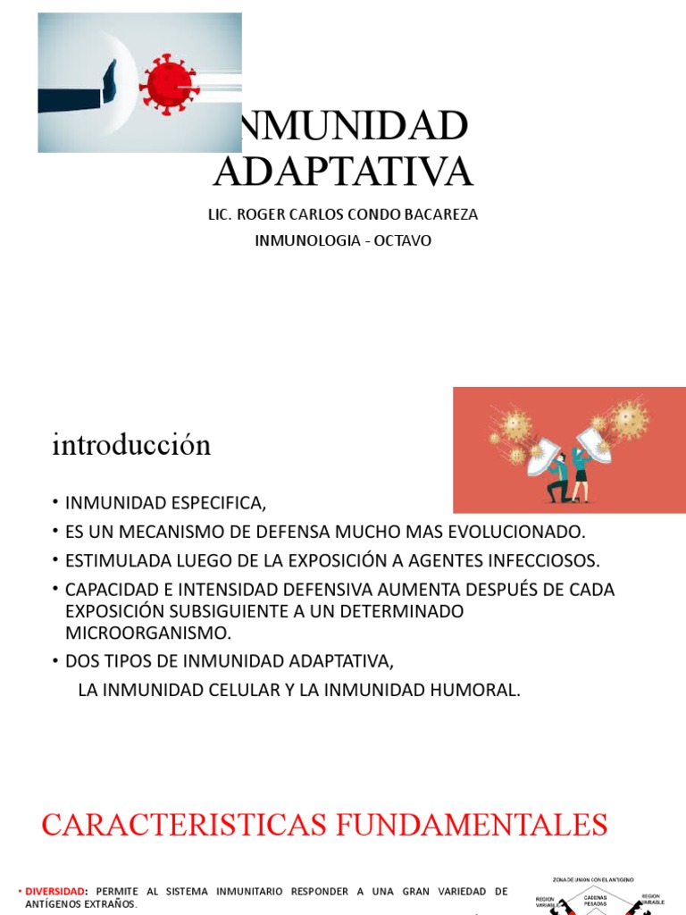 Inmunidad Adaptativa: Claves y Mecanismos | PDF | Célula T | Sistema complementario
