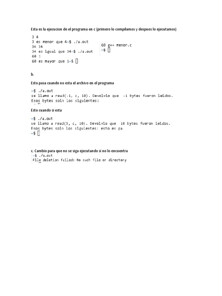 Esta Es La Ejecucion de El Programa en C | PDF